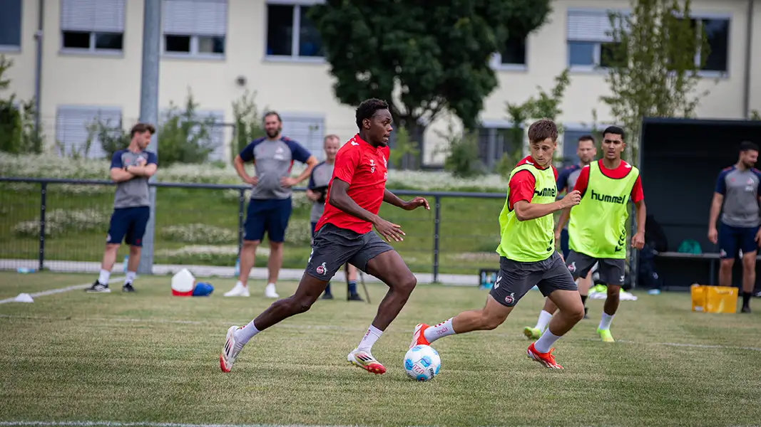 1. FC Köln: Diese Personalien hängen an Lukas Kwasniok - GEISSBLOG